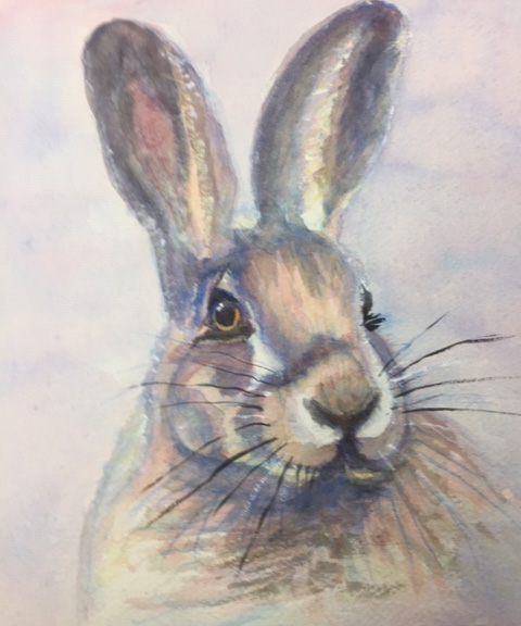 Rabbit Pastel – Norma Bell